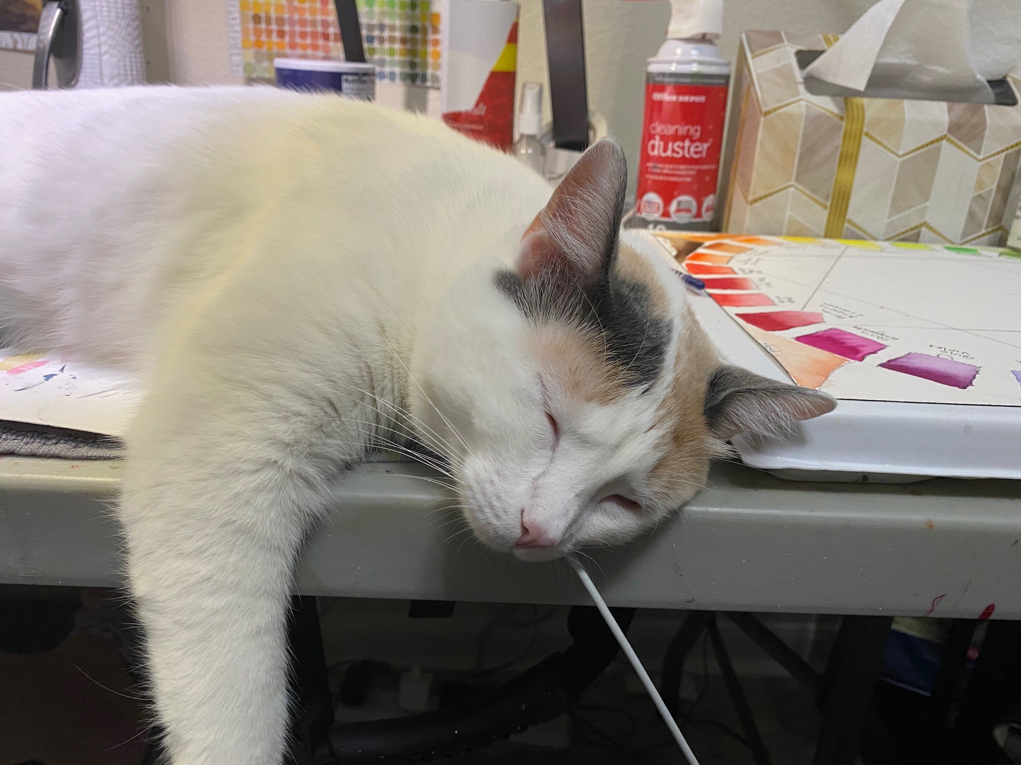 Toonces the cat who could paint (just not very well) - Watercolor ...