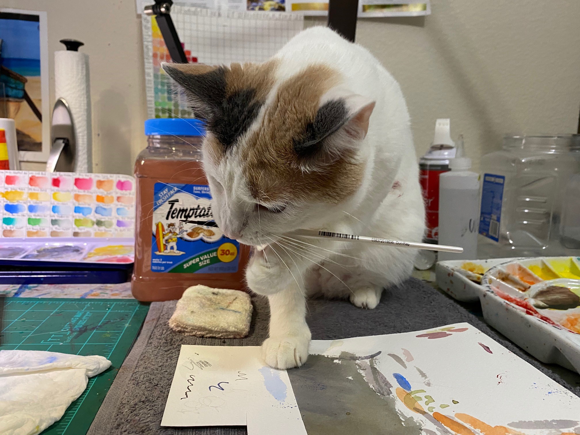 Toonces the cat who could paint (just not very well) - Watercolor ...