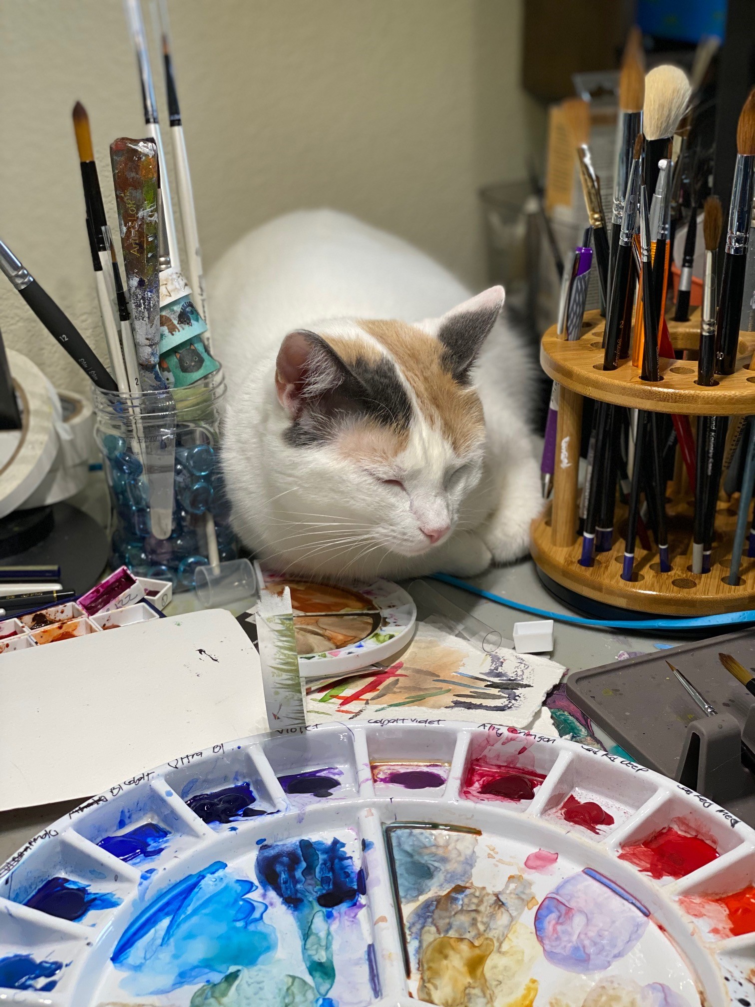 Toonces the cat who could paint (just not very well) - Watercolor ...