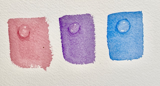 Painting leaves and water droplets - Watercolor Beginners and Beyond