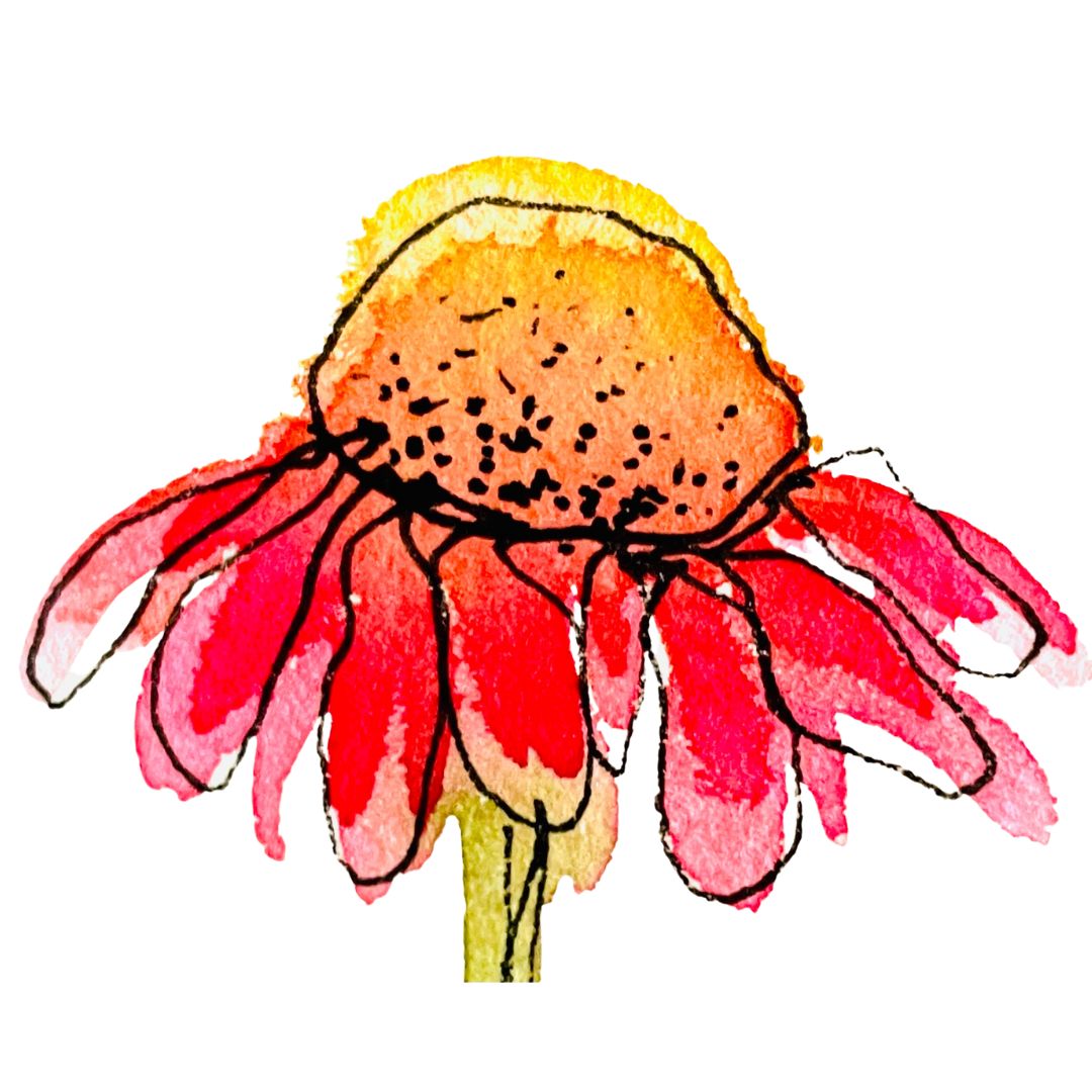 Painting Challenge: Joyful Art - Watercolor Beginners and Beyond