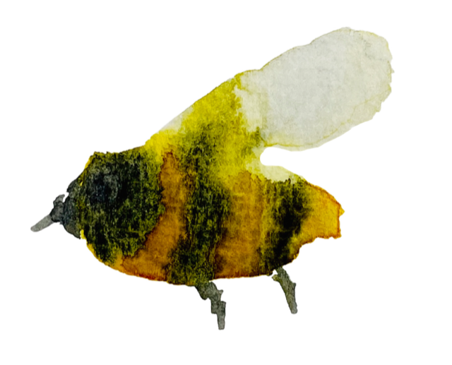 Painting Challenge: Bees - Watercolor Beginners and Beyond