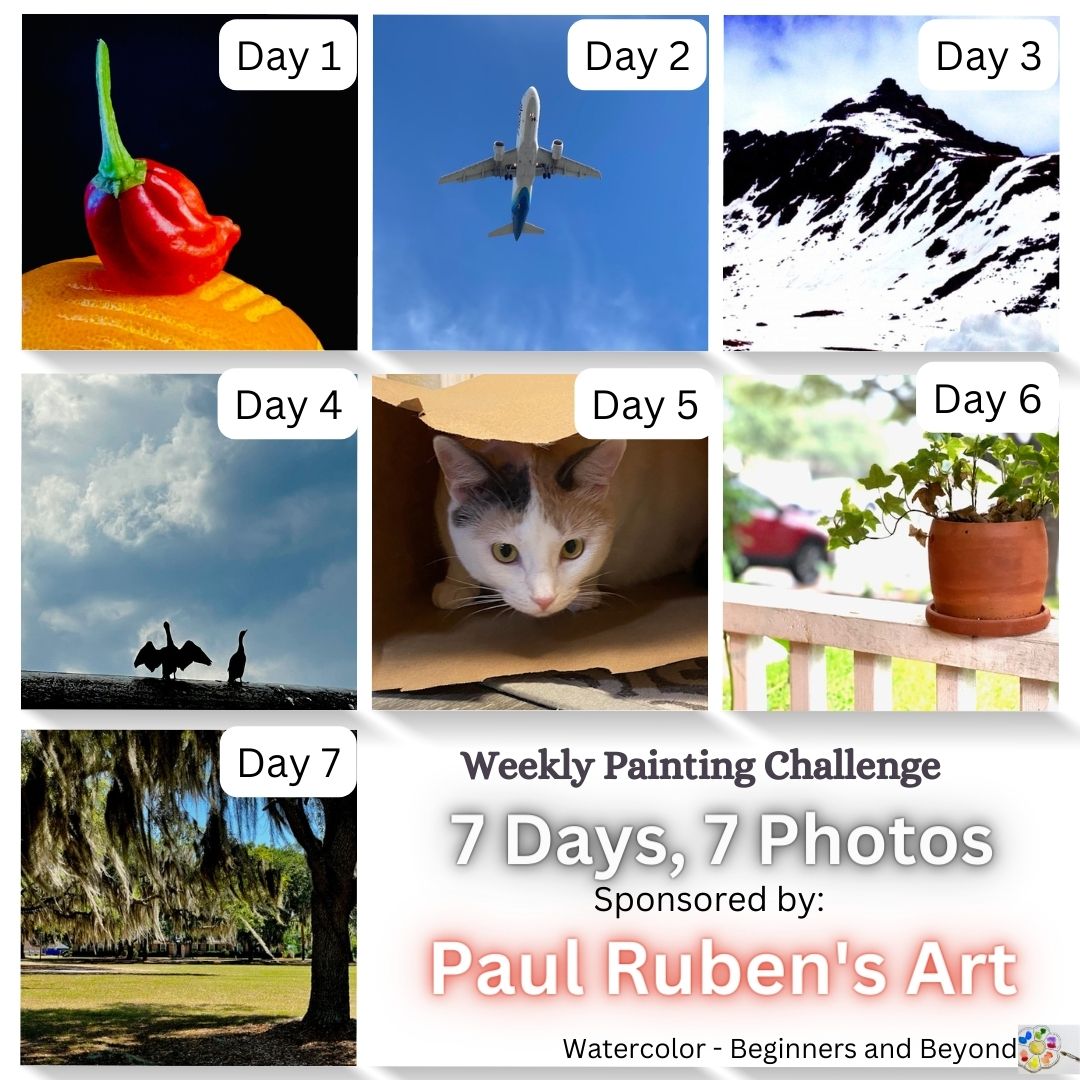 Painting Challenge: 7 Days, 7 Photos - Watercolor Beginners and Beyond