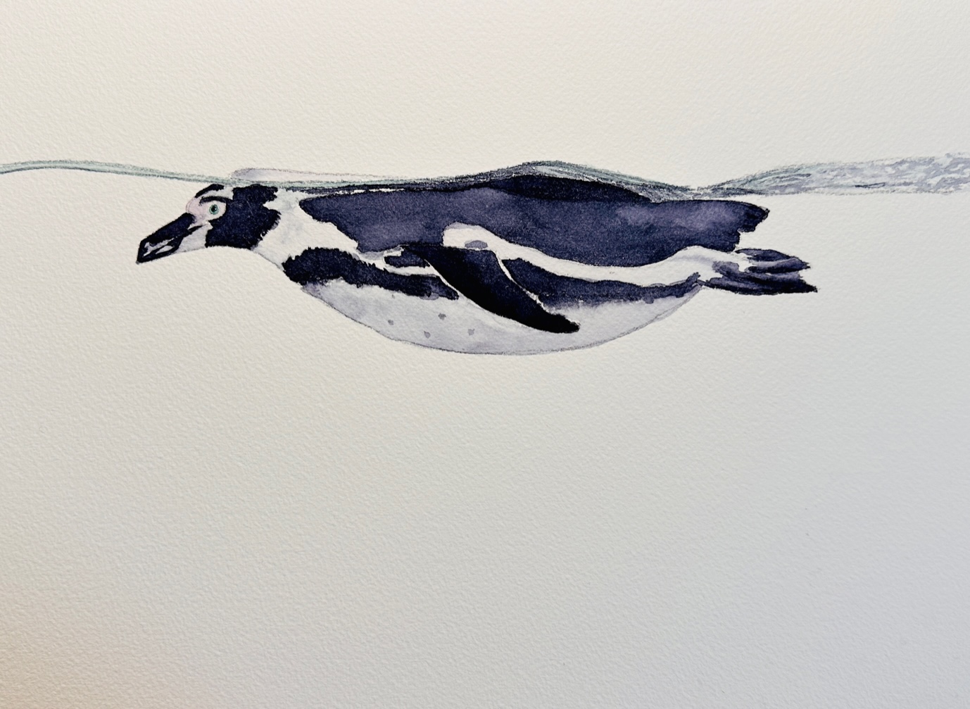 Painting Challenge: Penguins - Watercolor Beginners and Beyond