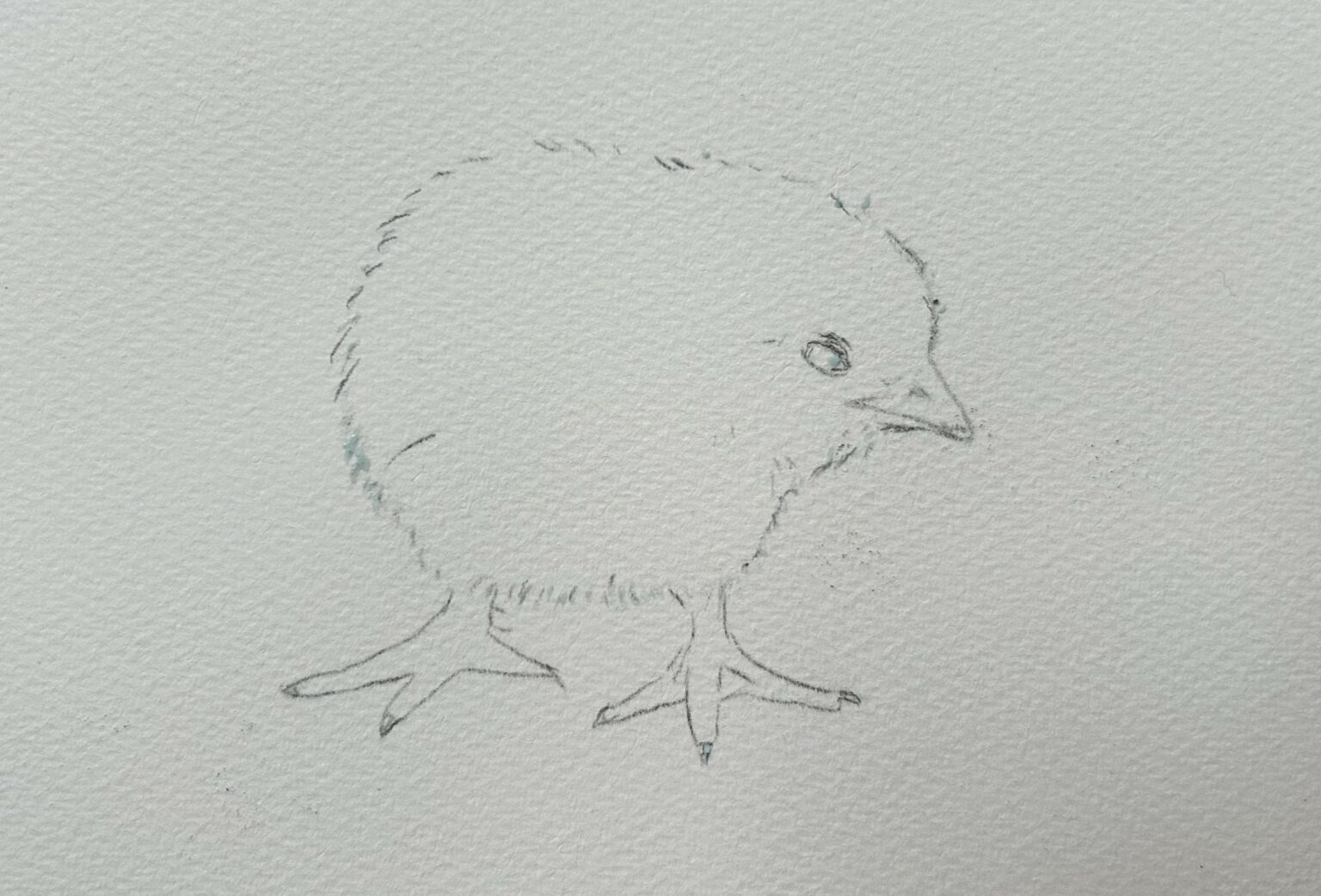 Painting Challenge: Chick - Watercolor Beginners and Beyond