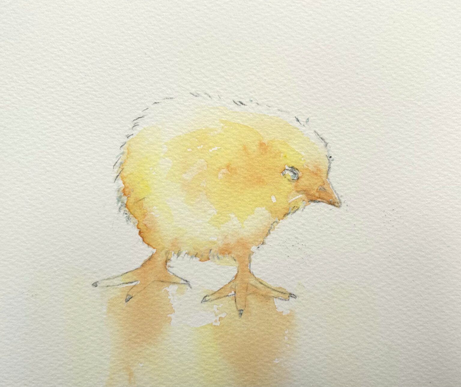 Painting Challenge: Chick - Watercolor Beginners and Beyond