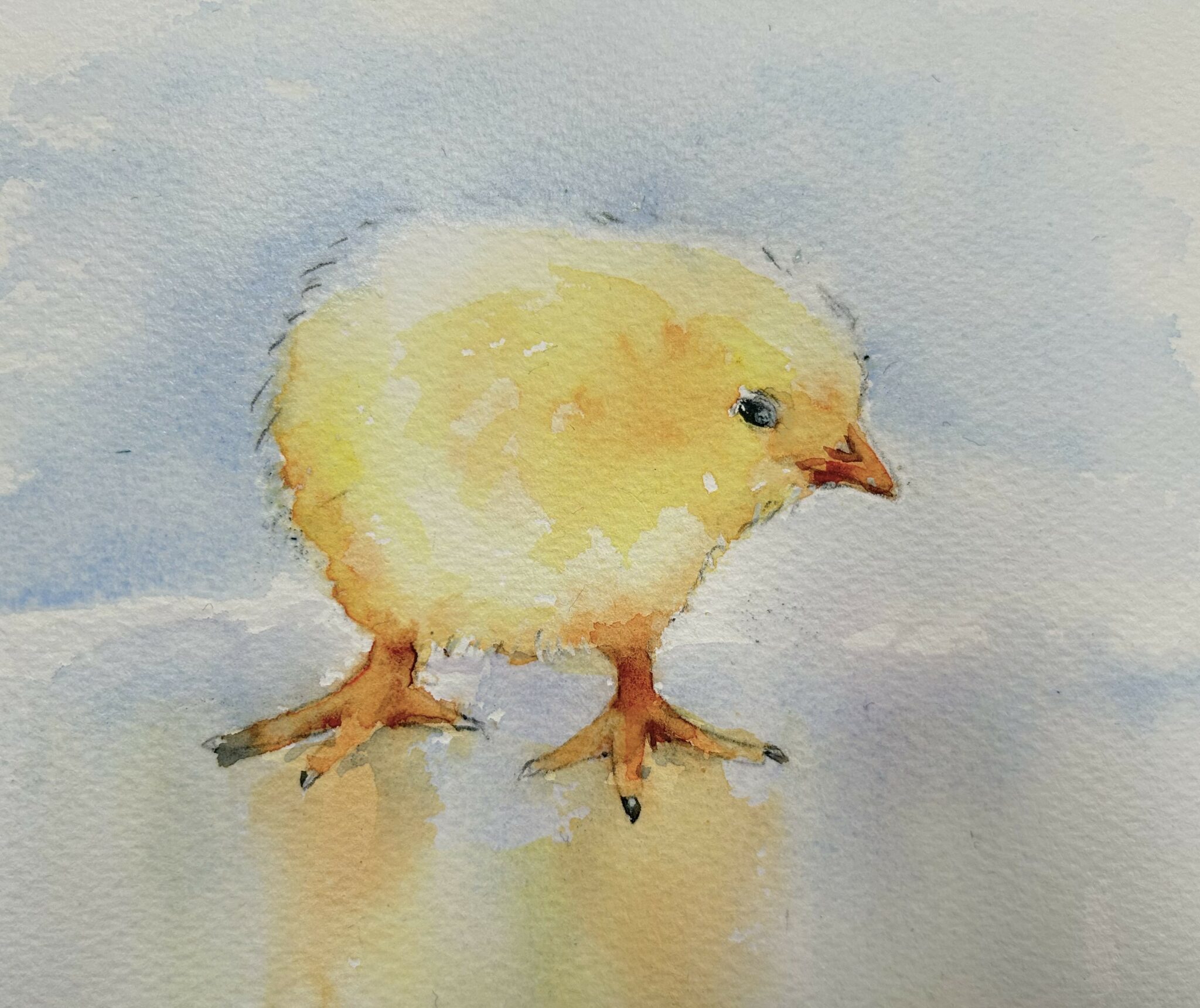 Painting Challenge: Chick - Watercolor Beginners and Beyond