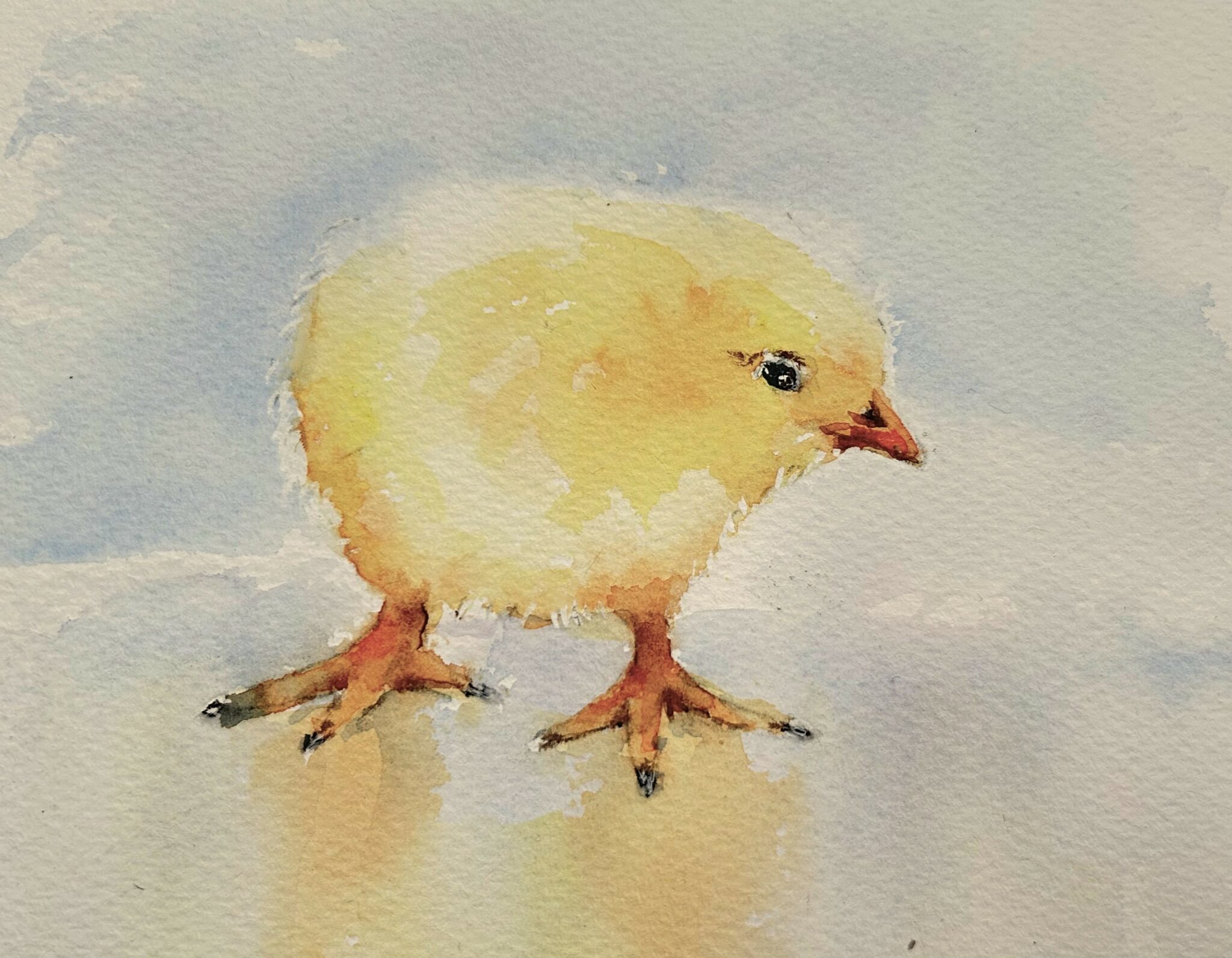 Painting Challenge: Chick - Watercolor Beginners and Beyond