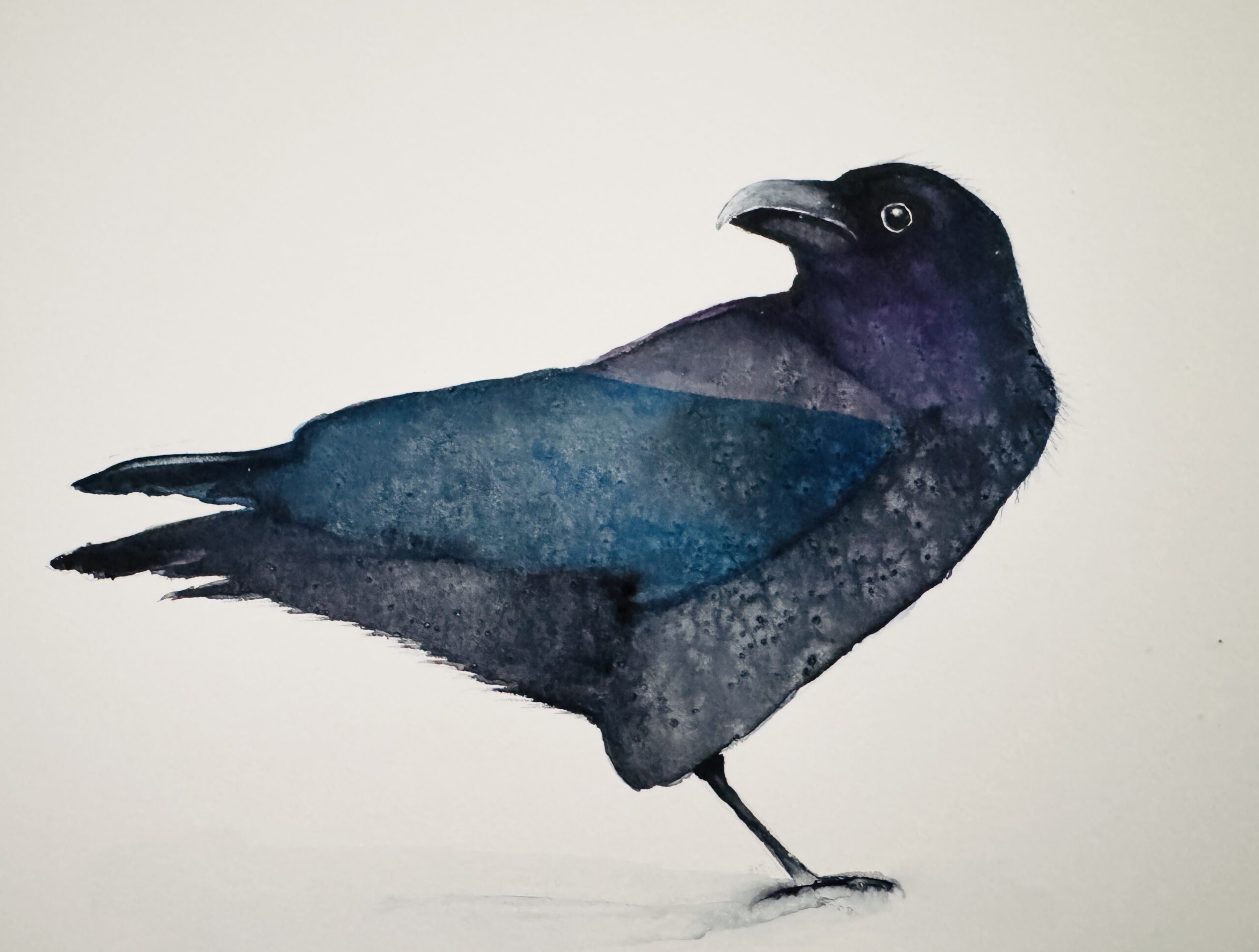 Painting Challenge: Ravens - Watercolor Beginners and Beyond