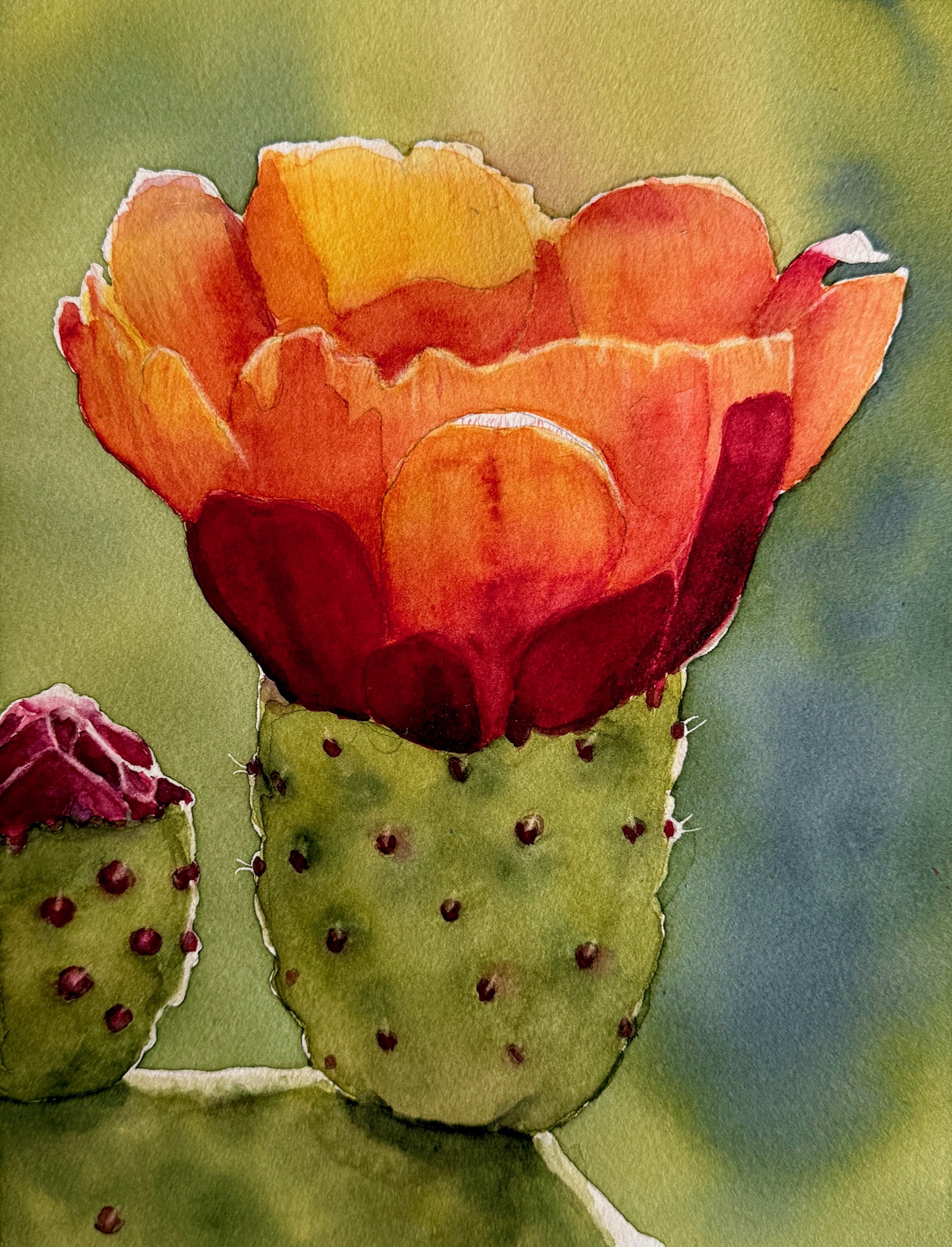 Painting Challenge: Cacti - Watercolor Beginners and Beyond