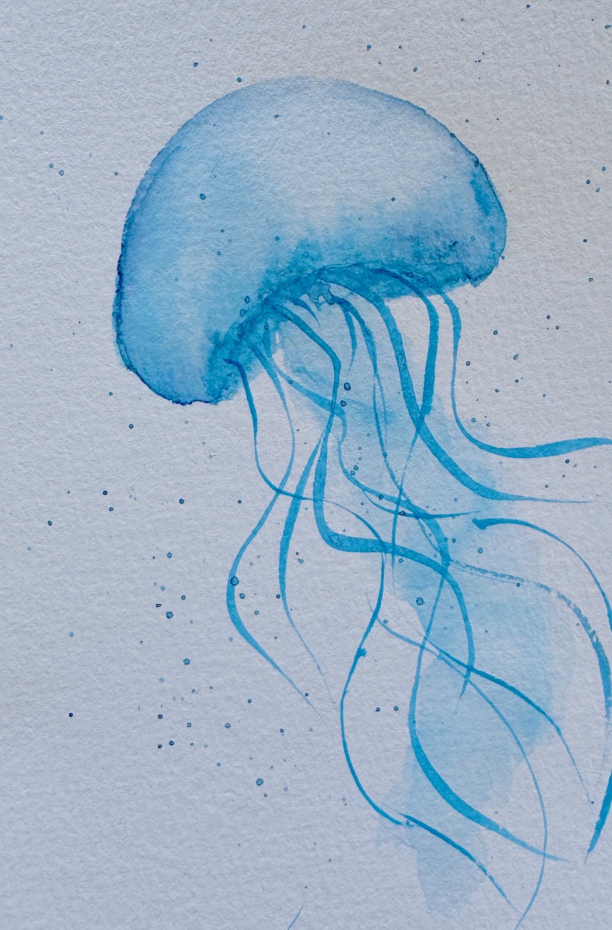 Painting Challenge: Jellyfish - Watercolor Beginners and Beyond