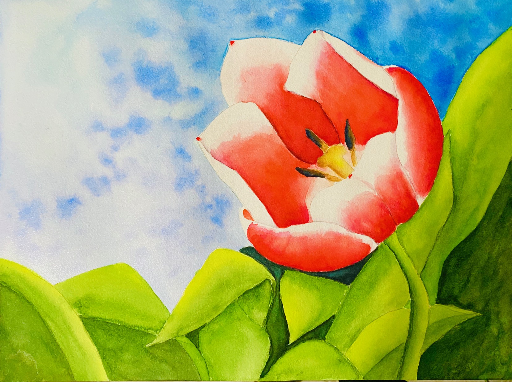 Watercolor Challenge: Tulips - Watercolor Beginners and Beyond