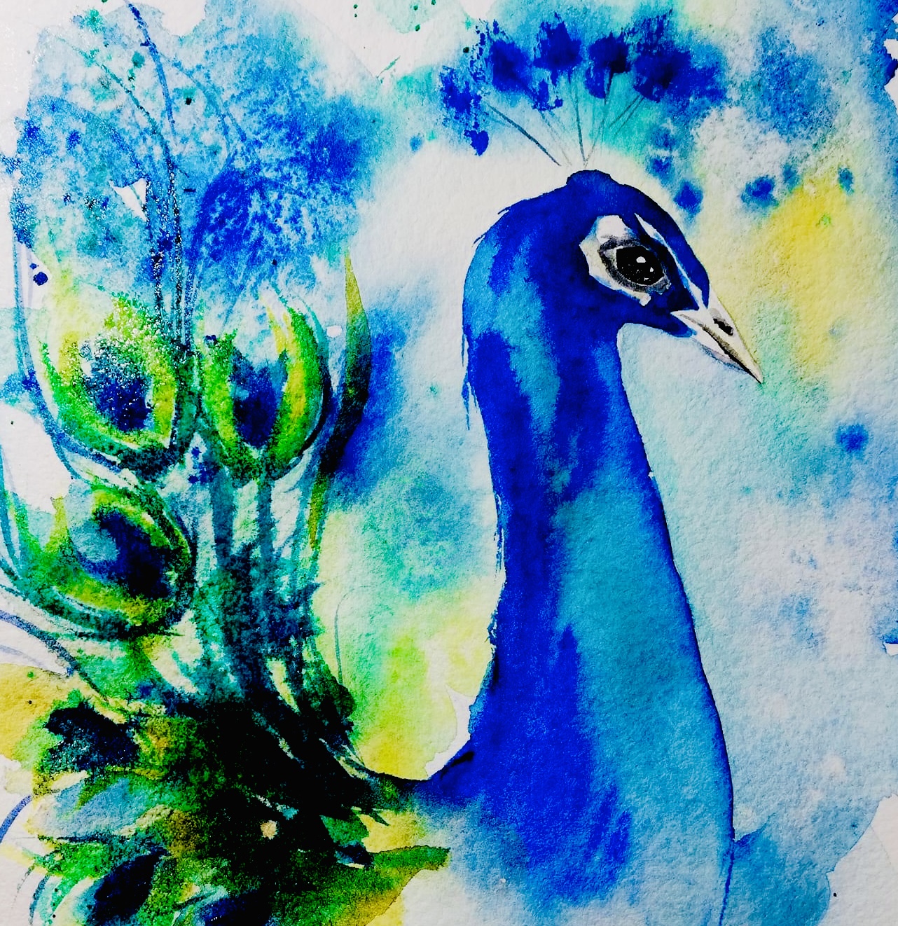 Watercolor Challenge: Peacocks - Watercolor Beginners and Beyond