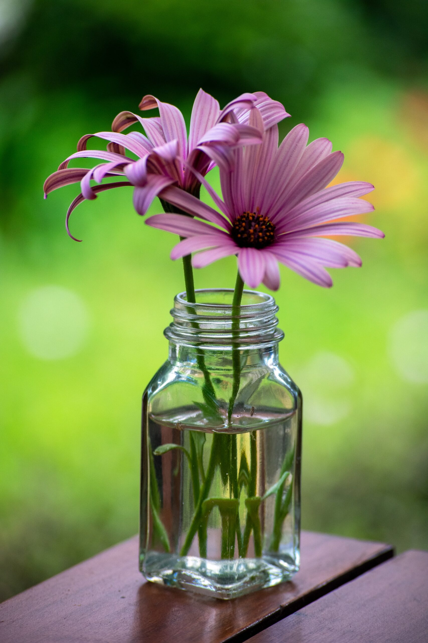 Watercolor Challenge: Paint this photo - Watercolor Beginners and Beyond